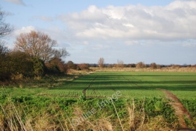 Photo 6x4 Field between the Little Stour & Great Stour Plucks Gutter At ...