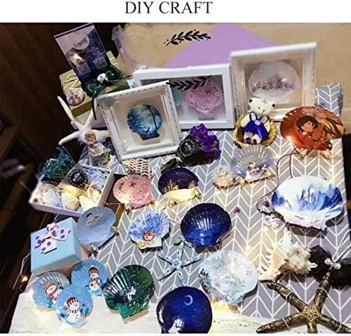 SEAJIAYI 30 pcs 2-3 inch Natural Scallop Shells White Sea Shells from ...