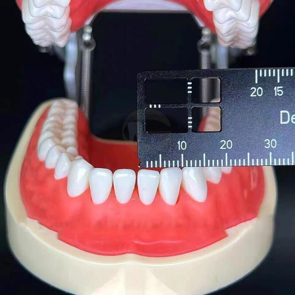 Dental Precision Measuring Ruler Medical Tool for Photography Dentistry ...