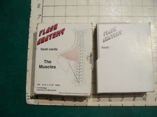 FLASH ANATOMY flash cards THE MUSCLES, 164 CARDS, COOL | eBay