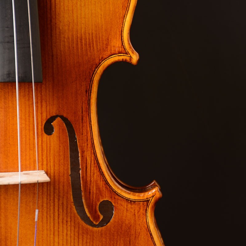 Master model!A German Steiner Copy, High arch!strong penetration rich ...