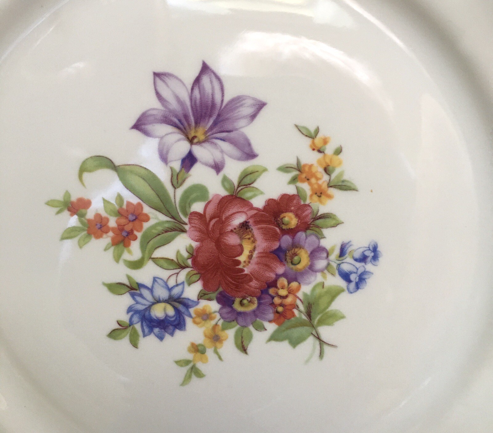 Vtg Lot of 8 Favolina-Karolina 10 1/2" Dinner Plates Discontinued/Rare ...