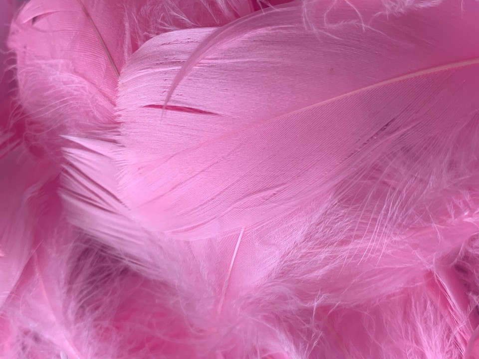 100 Solid Coloured Feathers - Mixed Sizes - Art, Craft, Bubble Balloon ...