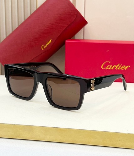 New Square Sunglasses Brown Frame Cartier Brown Gradient Lenses | eBay