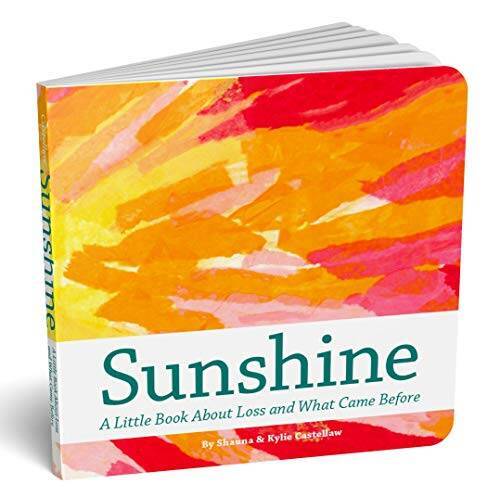 Sunshine: A Little Book About Loss and What Came Before - Board book ...