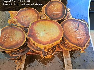 Poplar | cookie cut | craft woods | DIY | river table | poplar23 cc | eBay