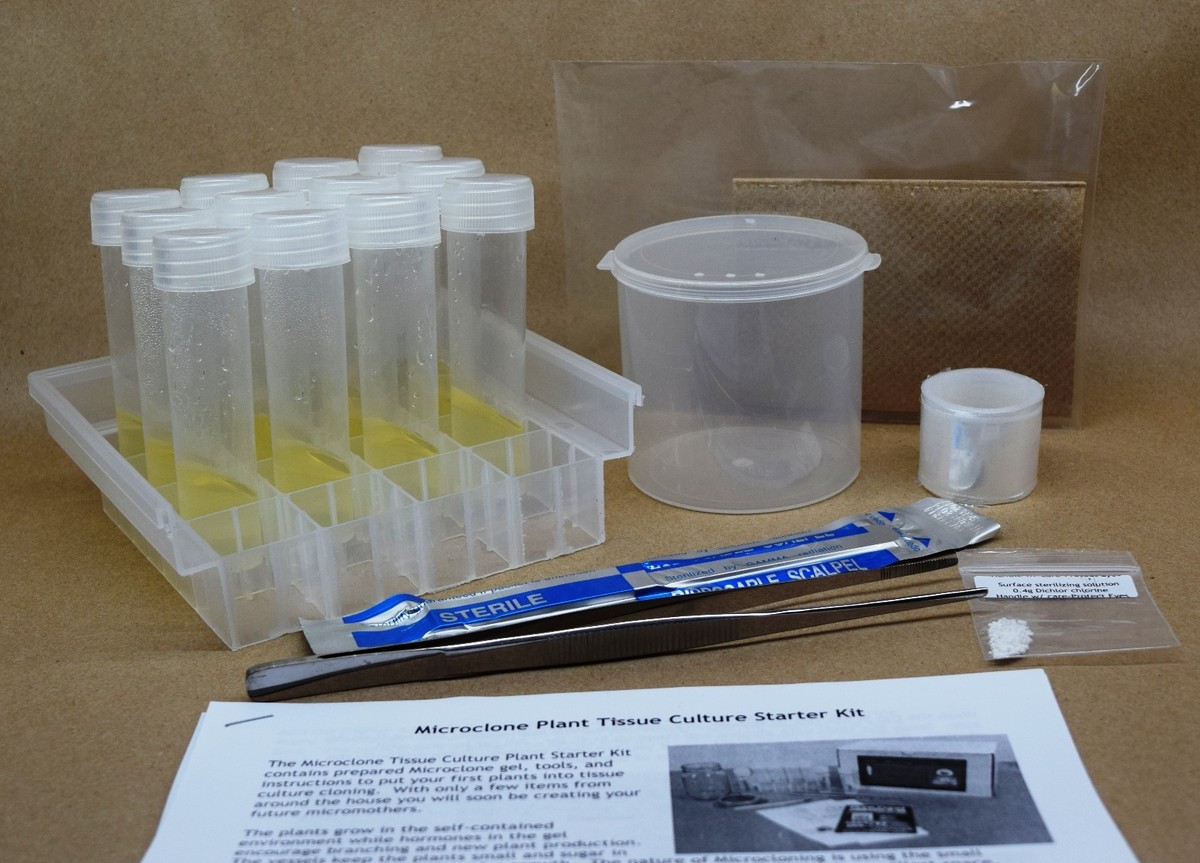 Commercial Plant Tissue Culture Kits Tissue Culture Kits Etsy