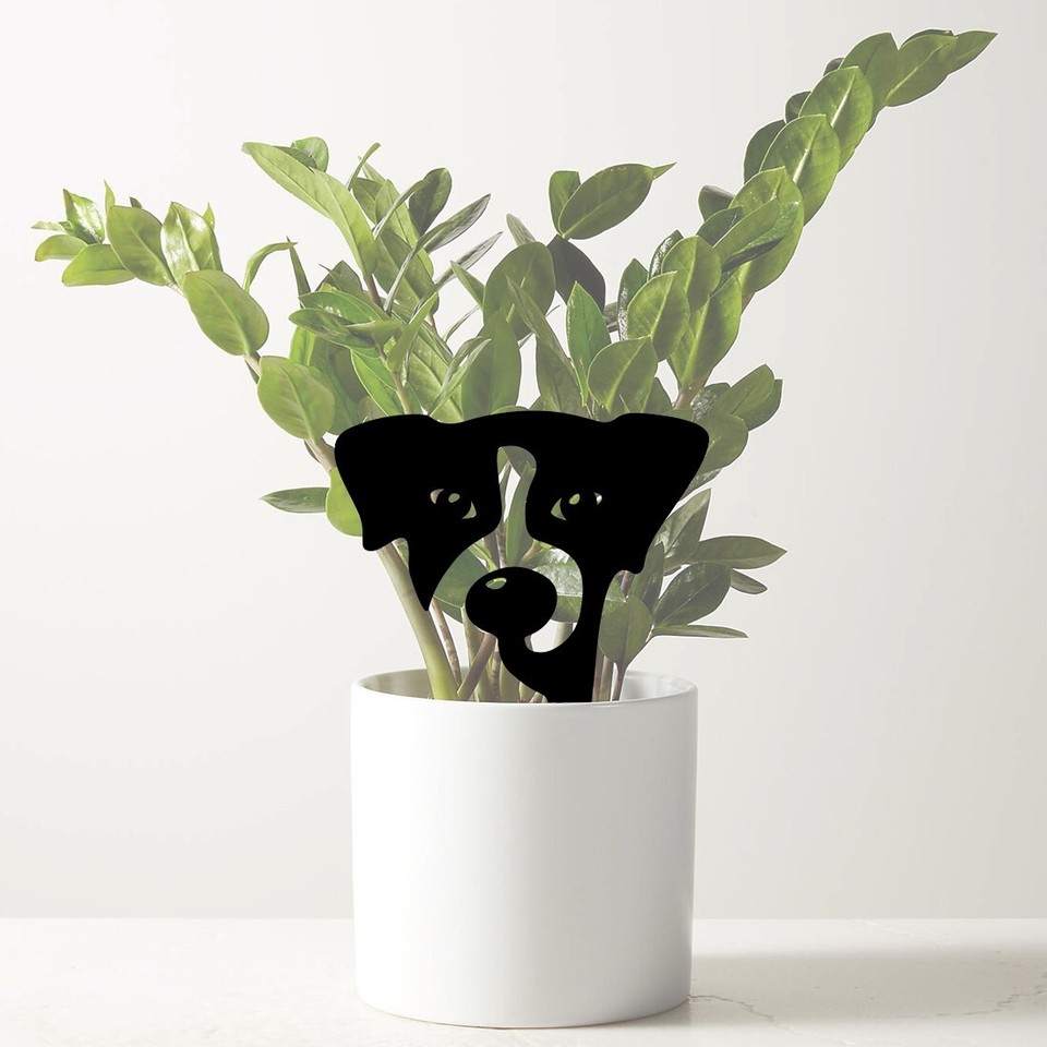 Dog Face Peeker - Outdoor Patio Garden Design Fence Ornament | eBay