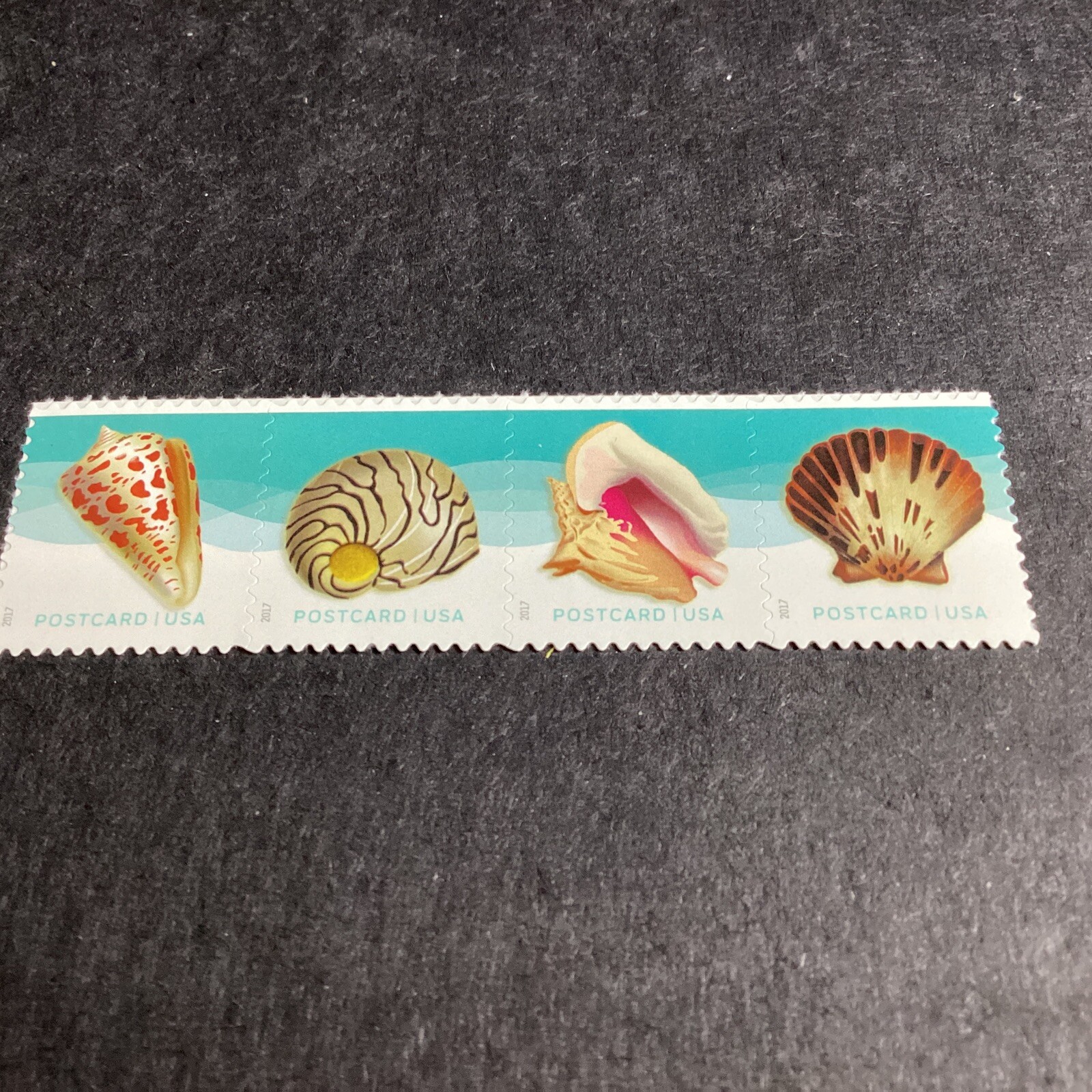 Scott#5163-66 -Postcard Rate - SEASHELLS - Strip of 4 - MNH-2017-US | eBay