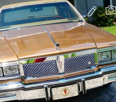 1981-1986 Pontiac Parisienne chrome triple weave mesh grill Tiarra ...