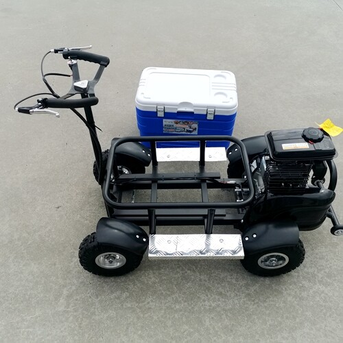 80cc Motorised Esky Cooler Scooter 4 Wheel Motorbike Atv Quad Icebox ...