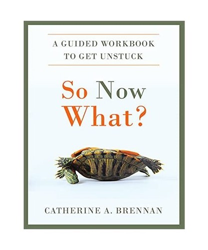 So Now What?: A Guided Workbook to Get Unstuck, Catherine Brennan | eBay