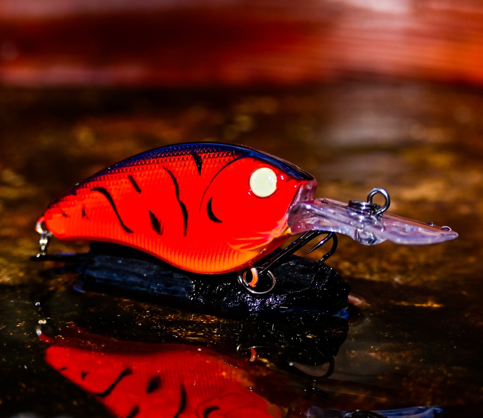 5 Yellowbelly Lures Bass Perch Jacks Cod Jacks Flathead Redfin Trout ...