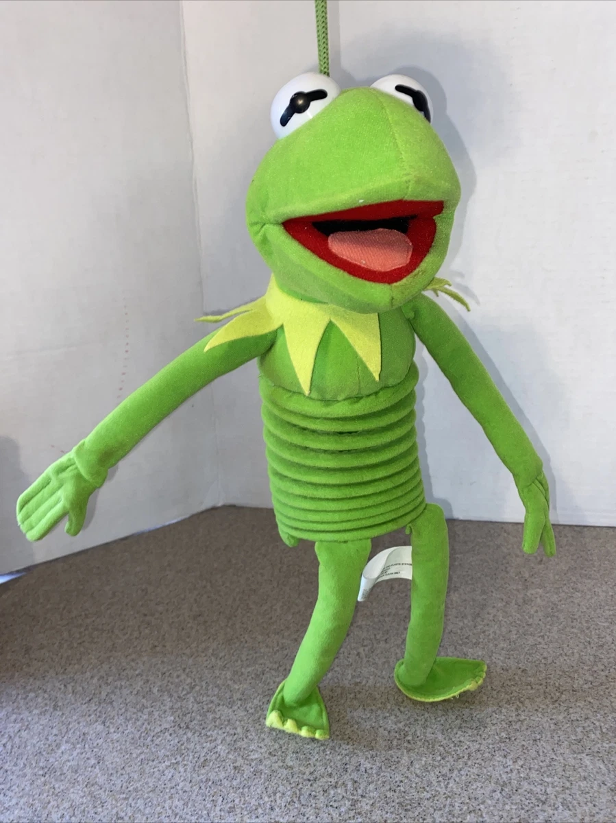 Kermit Looking Out The Window