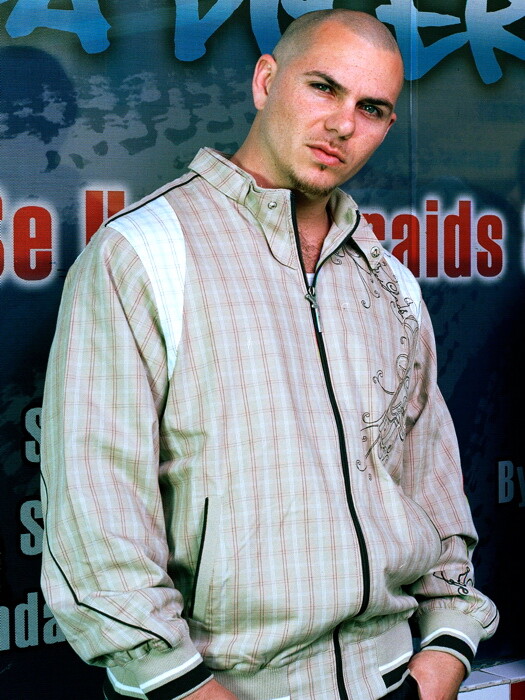 Pitbull Tattoos Singer