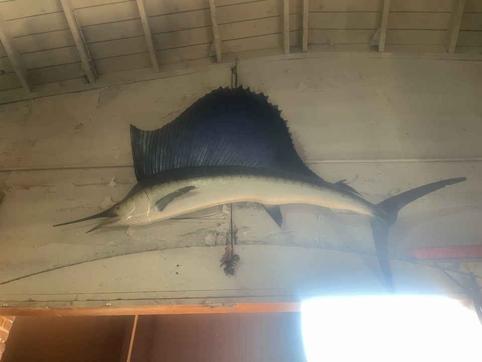 sailfish wall mount | eBay