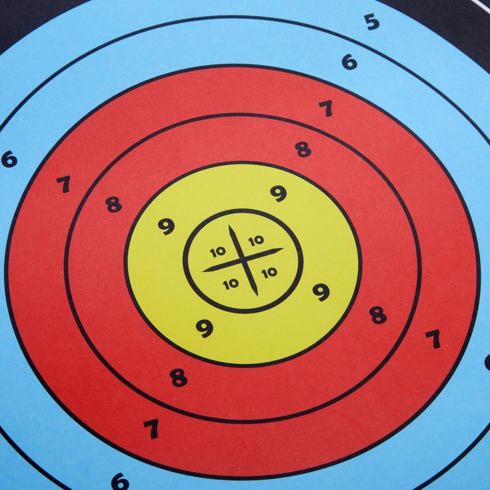 50-Pack Bullseye Large Paper Shooting Range Targets for Pistol Shooting ...