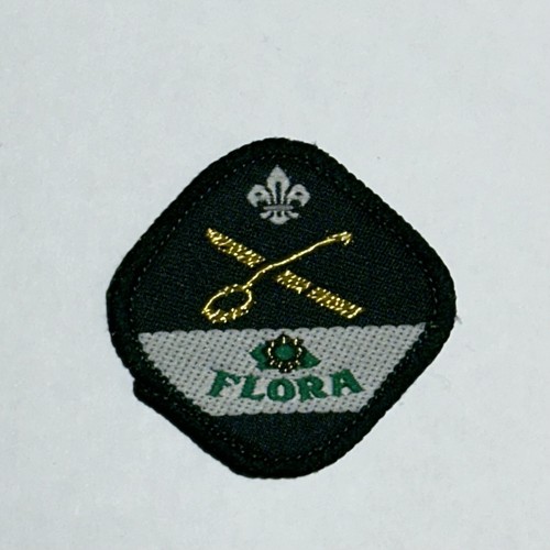 Scouts Cook Proficiency Badge New (charity ex-stock) | eBay UK