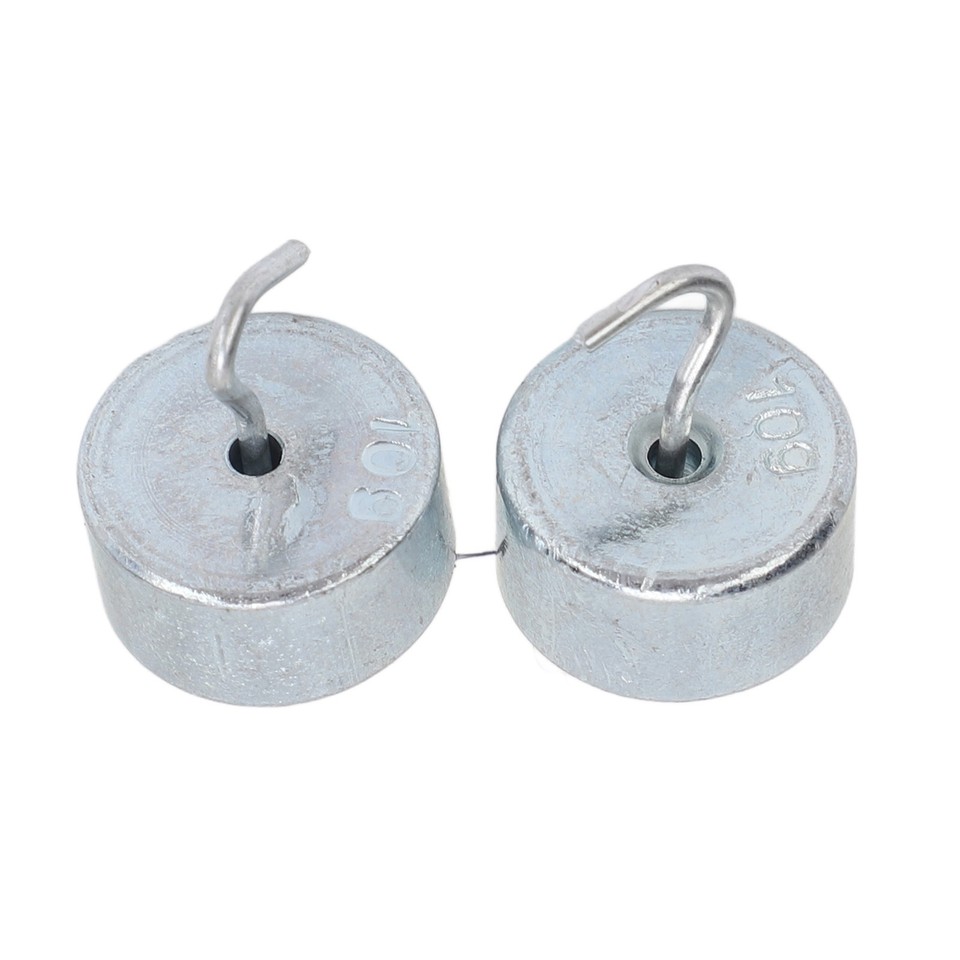 2pcs 10g Lab Hook Weight Double Hooked Weight With Case | eBay UK