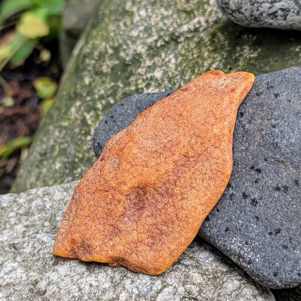 Raw Large Natural Baltic Amber Stone Butterscotch Antique Color Thin | eBay
