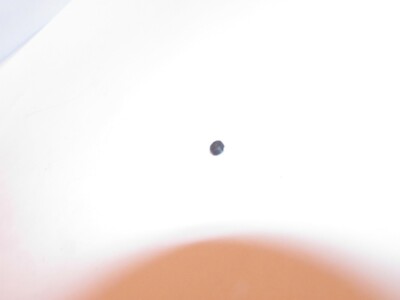 REMINGTON 34 - Safety Detent Spring Screw Used | eBay