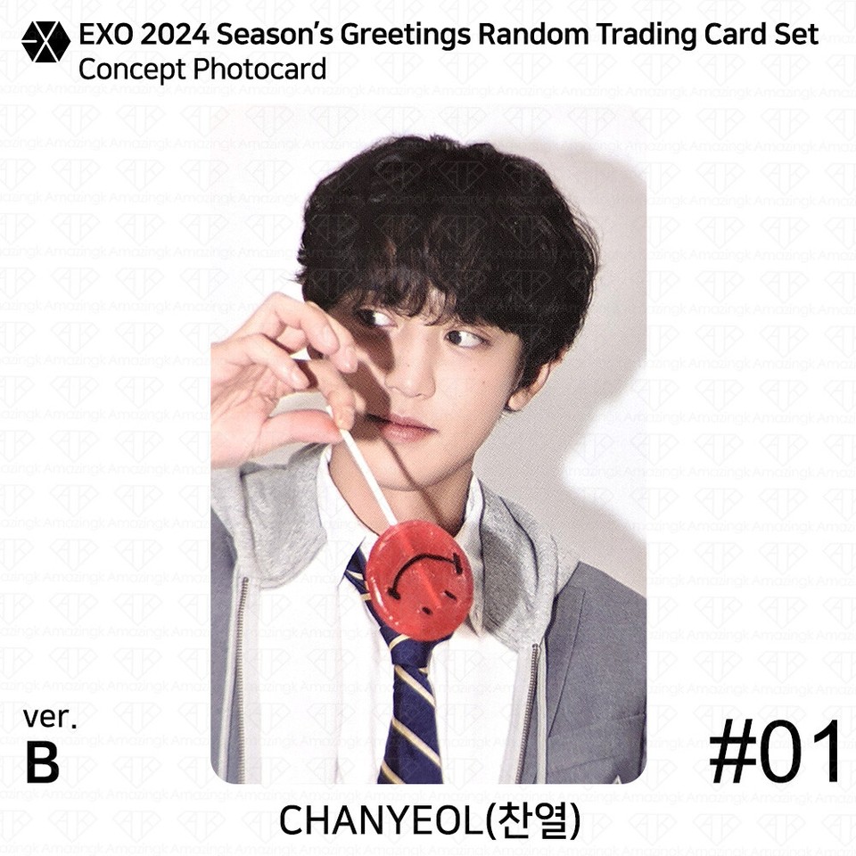 EXO 2024 Season's Greetings Random Trading Card Set Concept Selfie ...