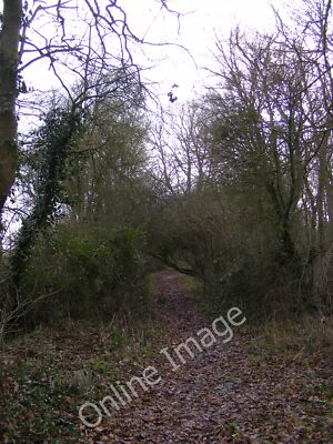 Photo 12x8 Segmore Lane footpath to the A1120 Badingham Road Peasenhall ...