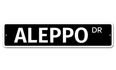 5065 SS Aleppo 4" x 18" Novelty Street Sign Aluminum | eBay