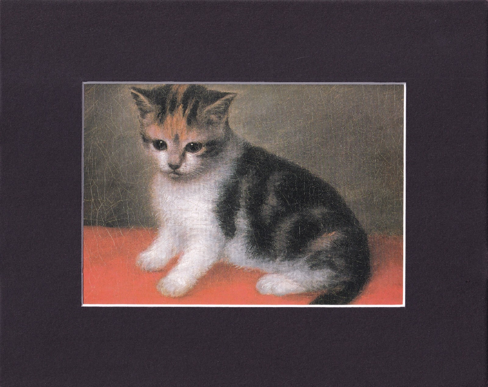 8X10" Matted Print Kitten Cat Art Picture: George Stubbs, Miss Ann ...