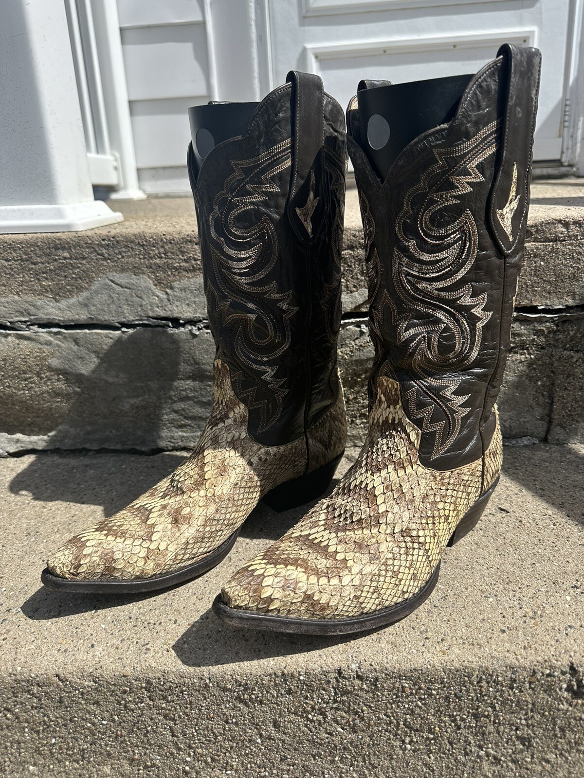 VINTAGE LARRY MAHAN EASTERN DIAMONDBACK RATTLESNAKE WESTERN COWBOY ...