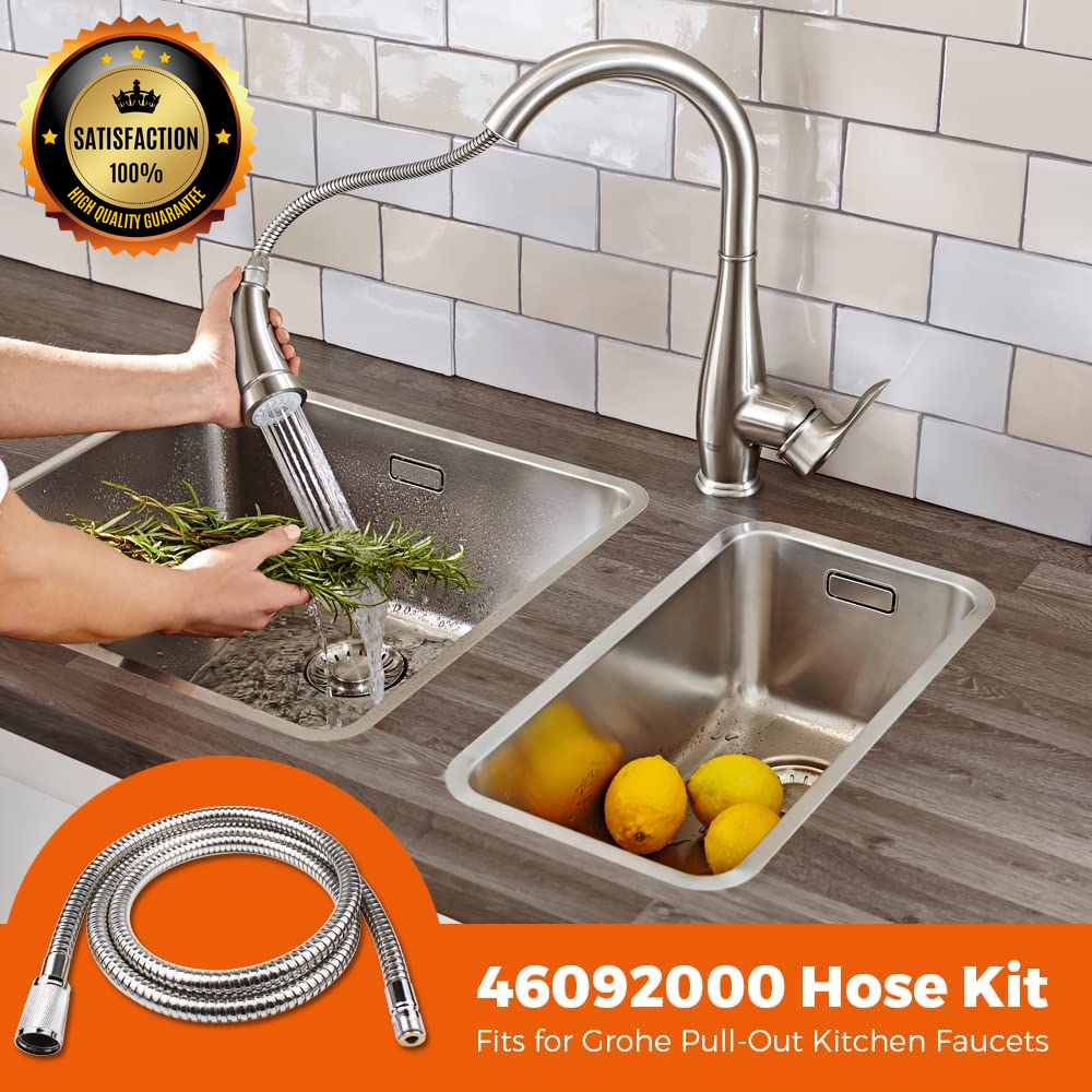 Grohe 46092000 Universal Pull Out Kitchen Faucet Hose in Polished ...