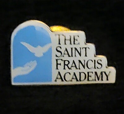 The Saint Francis Academy Pin Gold Tone | eBay