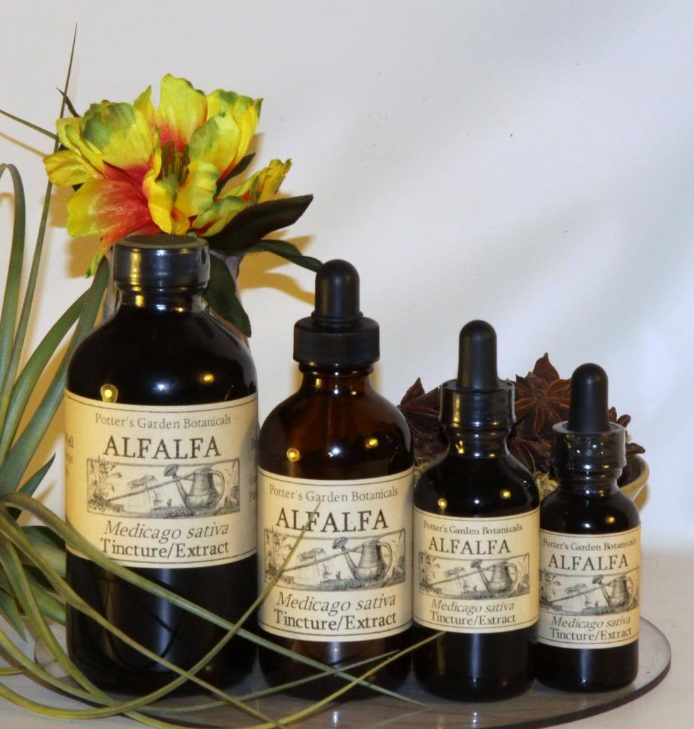 ALFALFA Tincture Vitality Nutrient Rich Tonic Folk Remedy Extract ...