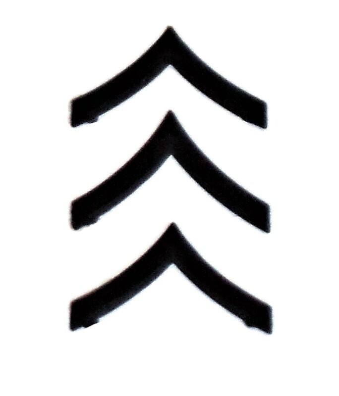 US Army Pv2 Private E2 Military Rank Insignia Metal Wing Pin Black 3 ...