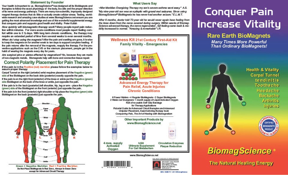 PAIN RELIEF Magnets Natural Energy Magnetic Healing Health Kit ...