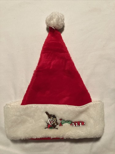 Vintage Warner Brothers Taz Santa Hat Tasmanian Devil Kids Christmas ...