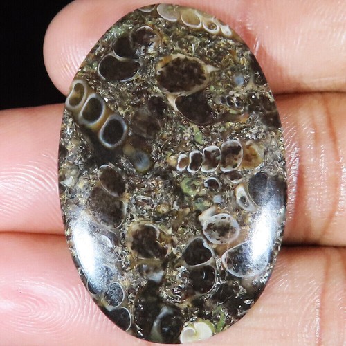 45.05 CT Naturel Turtella Agate Ovale Cabochon 27x41x4 MM Desseré Gemme ...