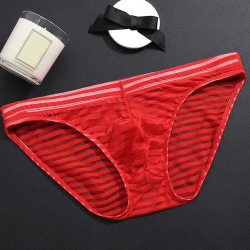 Men's Sexy See-through Ice Silk Underwear Briefs Mesh Sheer Pouch ...