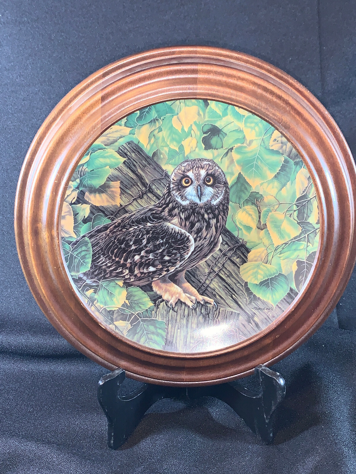 8 1/2” Framed Short Eared Owl Limited Edition Plate 1990 By Jim ...