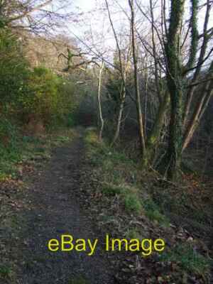 Photo 6x4 Footpath by the Kelly Burn Skelmorlie The north bank of the ...