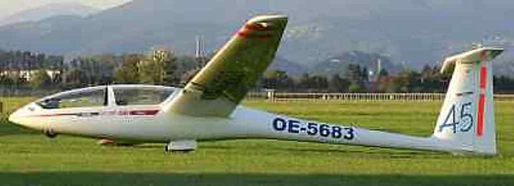 DG-500 Elan Trainer Glider Airplane Desk Wood Model Big New | eBay