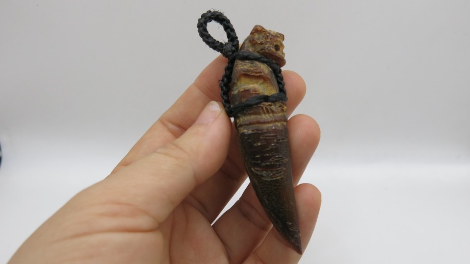 Super Rare Tiger Carved Thai Amulet Sacred Fang Pendant Khiaw Chang ...