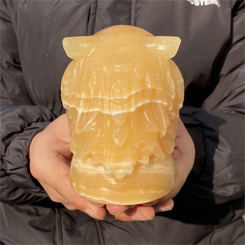1.44kg Natural Carved Geodes stone Tiger Head Figurines Reiki Quartz ...