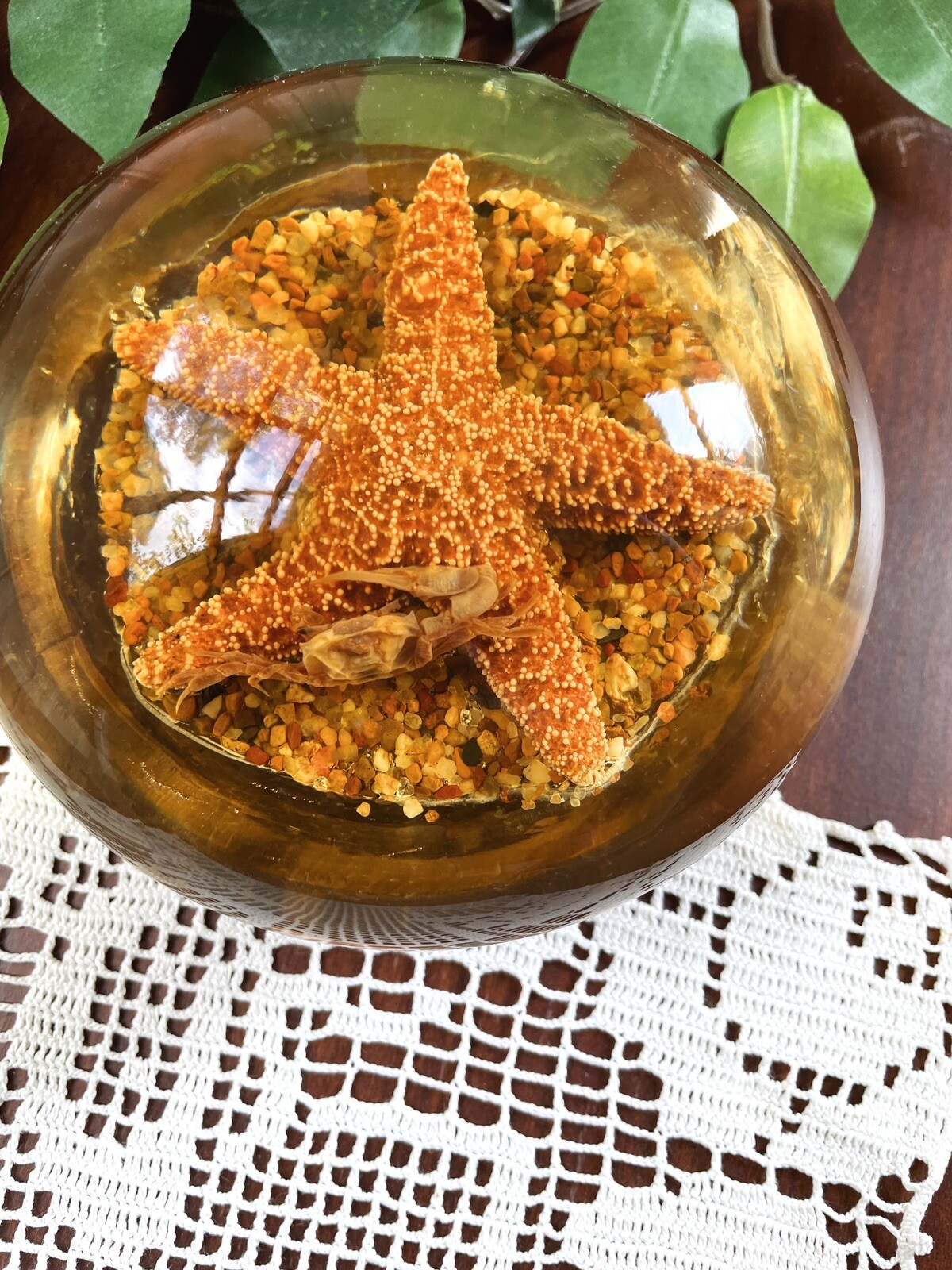 Vintage Starfish Paperweight, Nature Gems, Iminac Inc. Ocean Marine ...