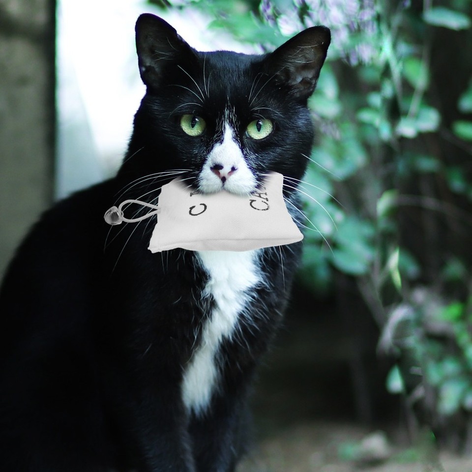 3 Pcs Cat Nip Sack Catnip Toys Pouch Non Refillable Teething Bag | eBay UK