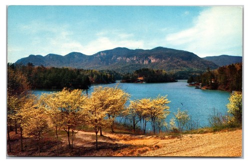 Vintage 1960s- Springtime Lake Lure, Western North Carolina Postcard ...