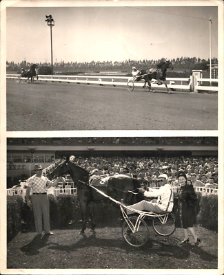 1950s HARNESS RACING vintage 8x10 real photograph HORSE RACE W/ CART ...