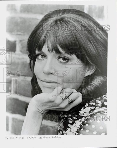 1973 Press Photo Actress Barbara Feldon - kfp10547 | eBay