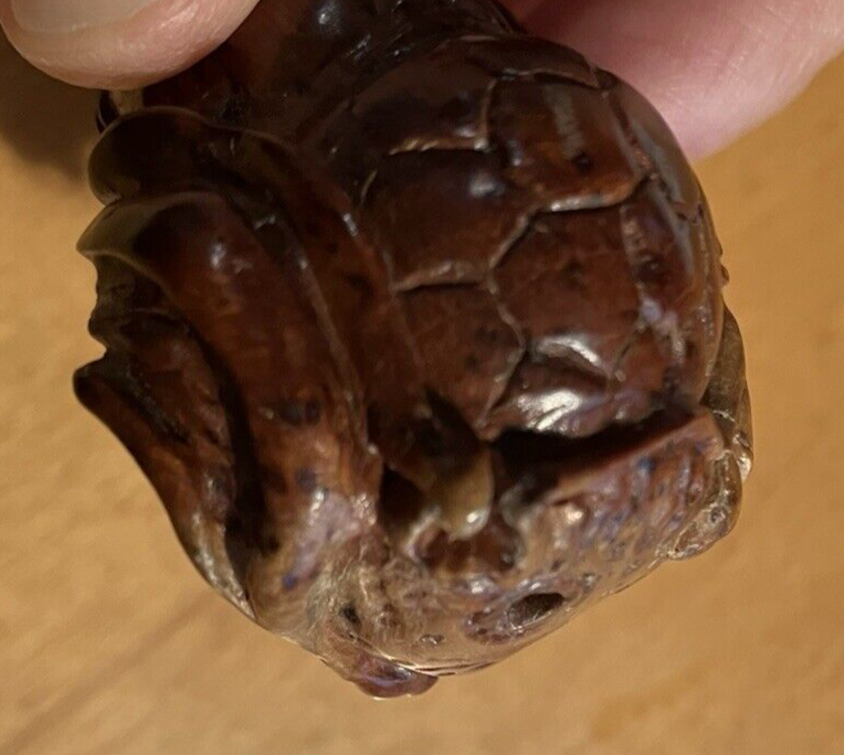 Wood carved MAN w/ TURTLE SHELL STOMACH holding CHICKEN 2" x 1.5" x 1. ...