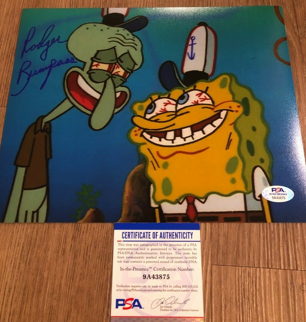 Rodger Bumpass Squidward Spongebob Squarepants Autographed 8x10 Photo ...
